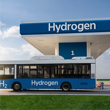 Z Polymers Tullomer 500g | Dynamism