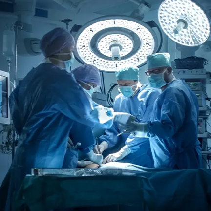 Z Polymers Tullomer 500g | Dynamism